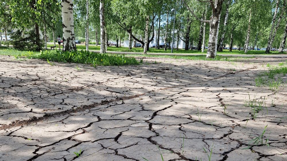 Suomikaan ei ole turvassa kuivuudelta: uudet suuntaviivat luovat ...